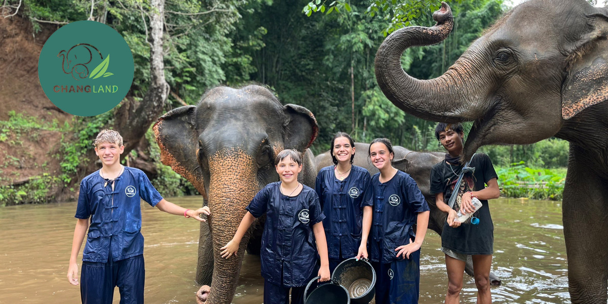 CHANG LAND : A Hidden Oasis for Elephants