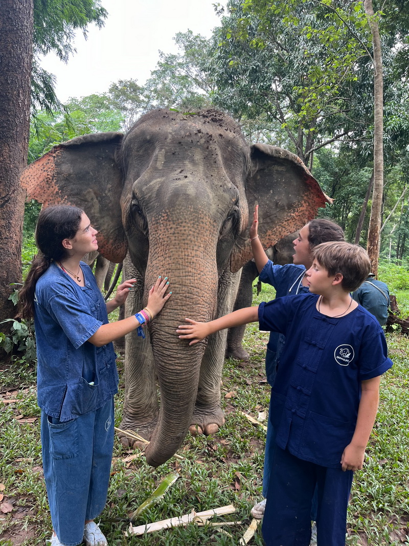 Half Day Morning : CHANG LAND : A Hidden Oasis for Elephants